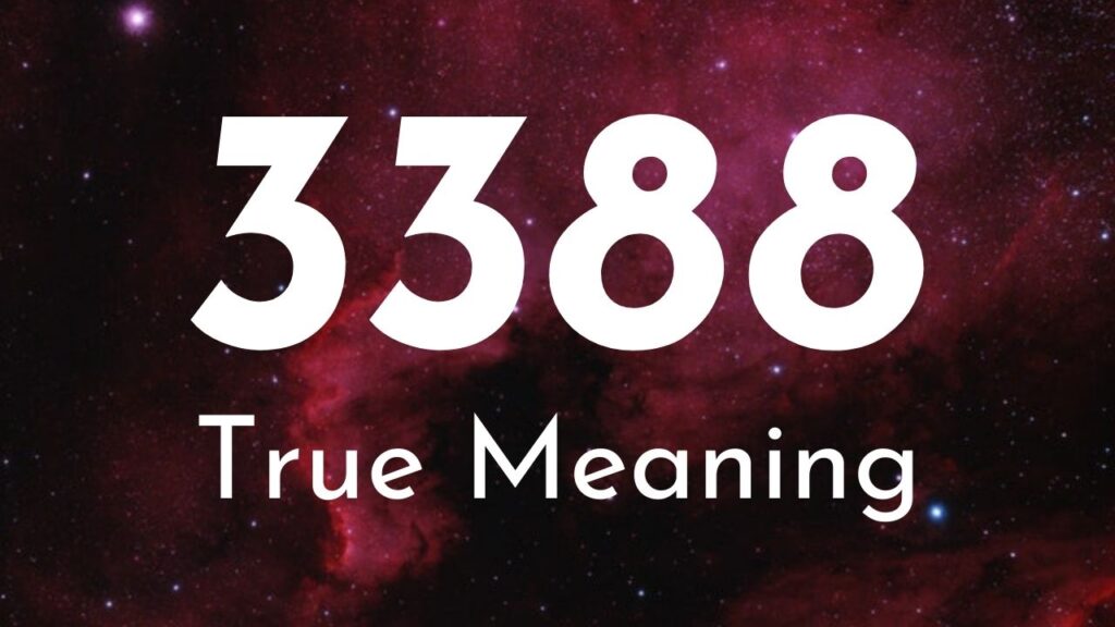 经常看到天使数字3388的寓意和启示 - 自由国度
